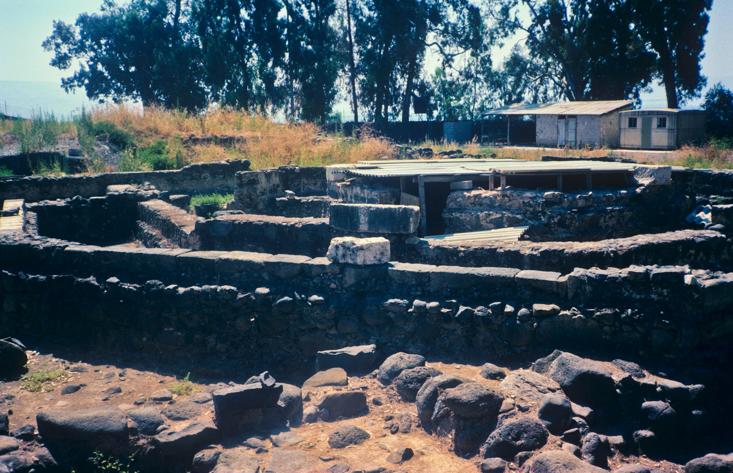 Capernaum | Talmidim Way